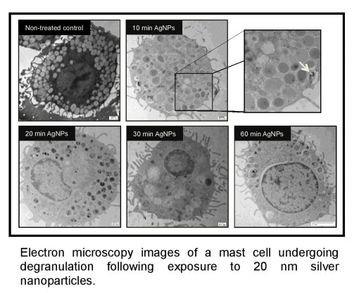 Immunotoxicology Lab - Dr. Jared Brown | CU School of Pharmacy